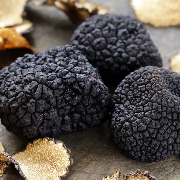 Truffle Man enjoys sweet smell of success in Dubai - LUXUO UAE